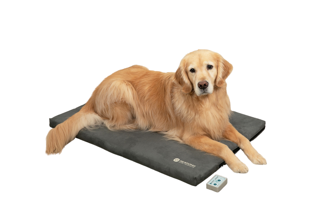 Science Corner PEMF – Respond Systems