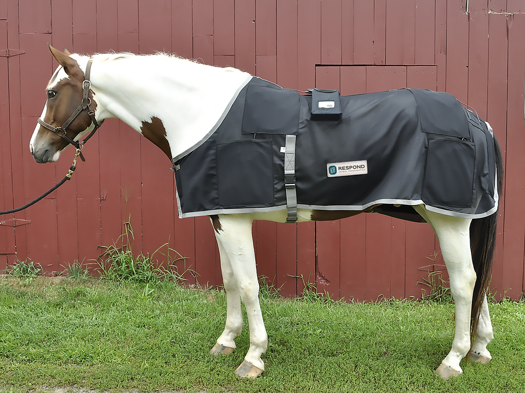 Bio-Pulse™ Sentry PEMF Blanket Magnetic Therapy System for Horses ...
