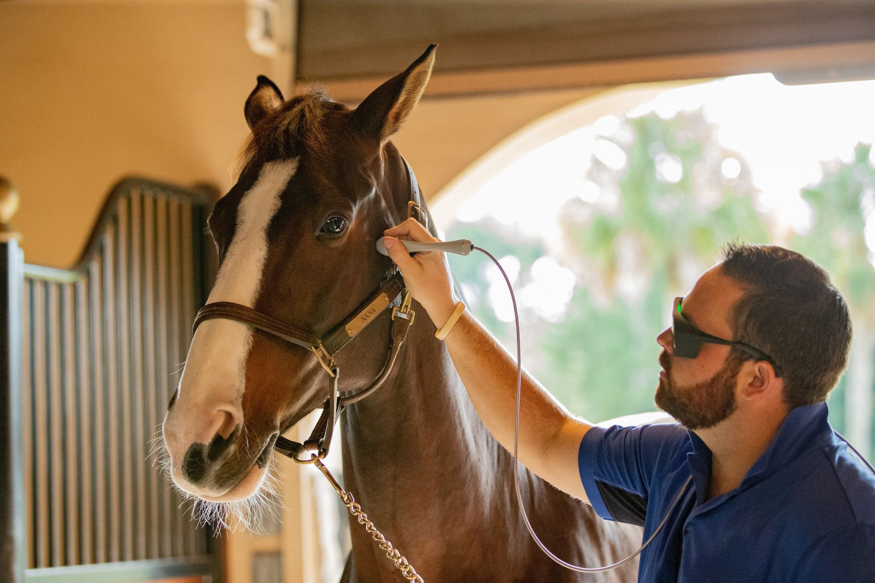 Science Corner Laser – Respond Animal Therapeutics
