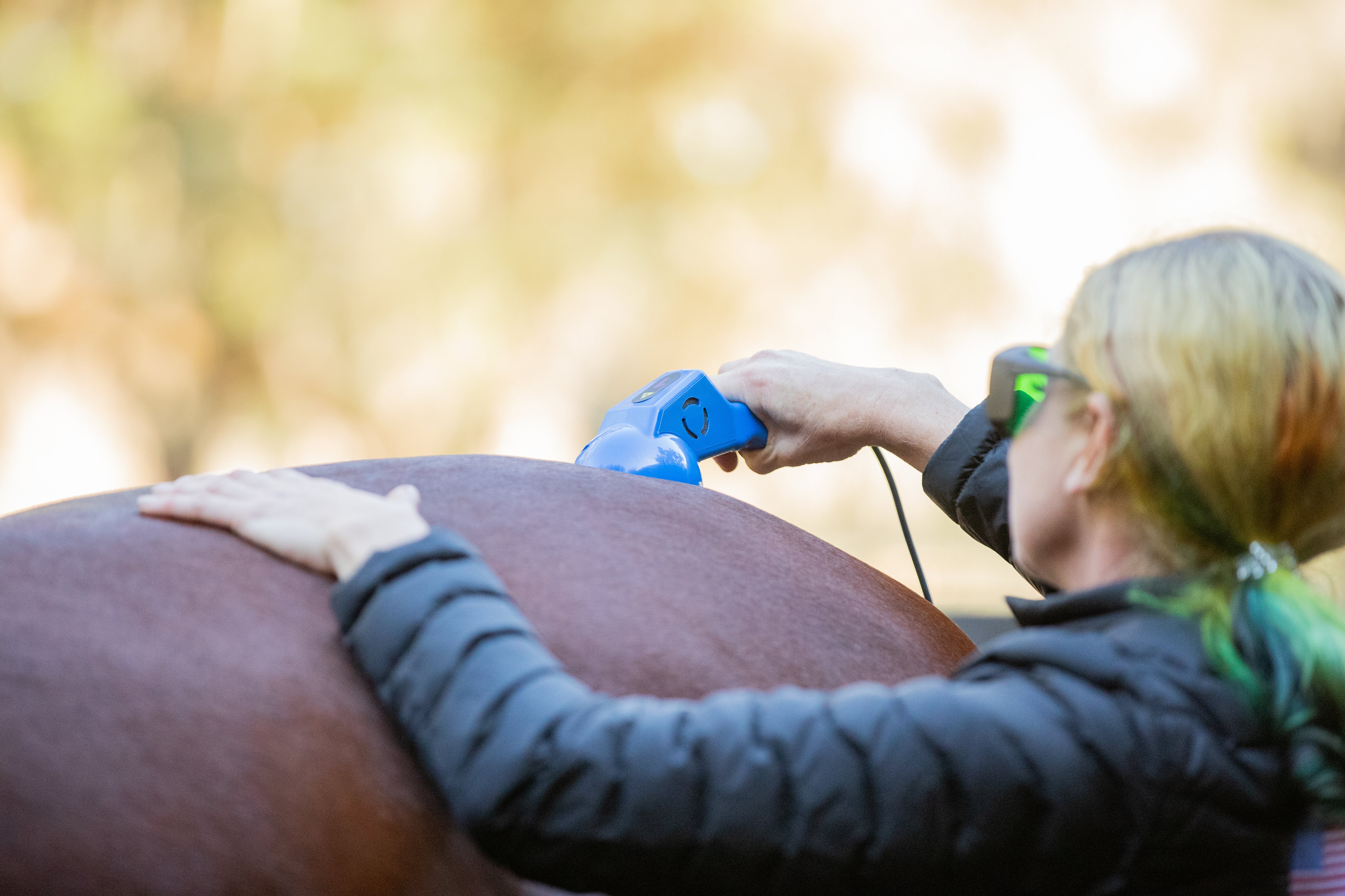 Repairs – Respond Animal Therapeutics