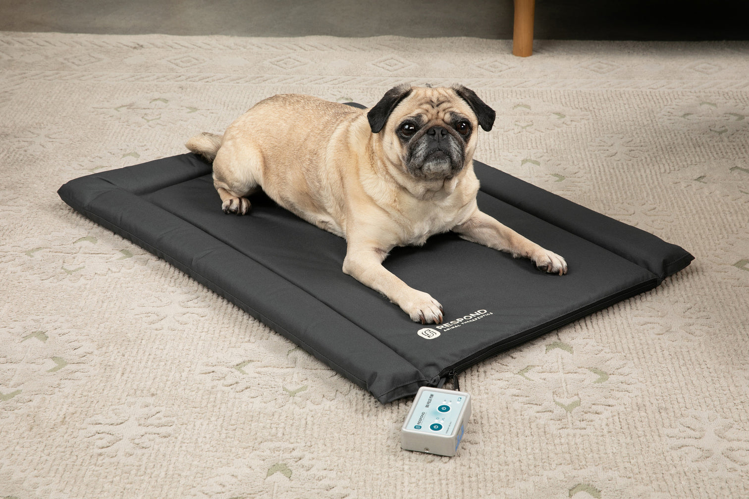 Maxi-Pulse PEMF Dog Bed Therapy System - Nylon – Respond Systems