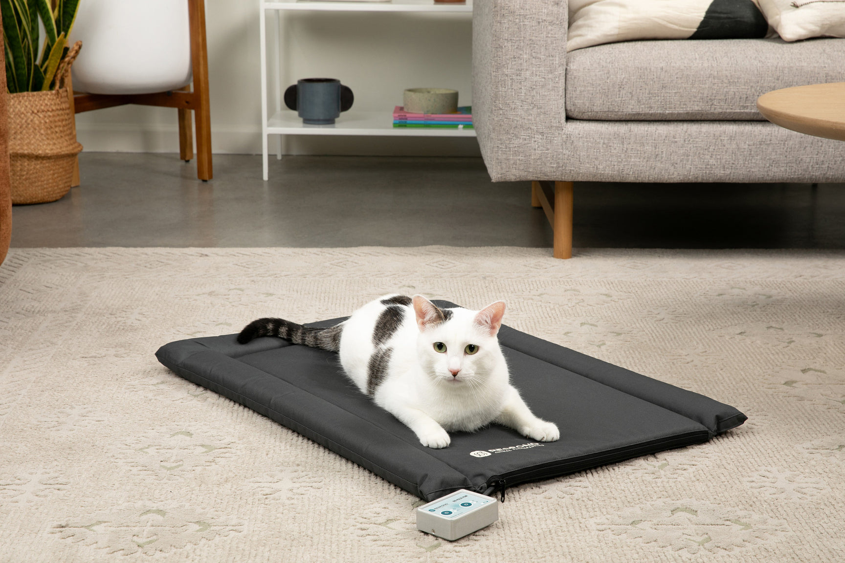 Maxi-Pulse PEMF Dog Bed Therapy System - Nylon – Respond Systems